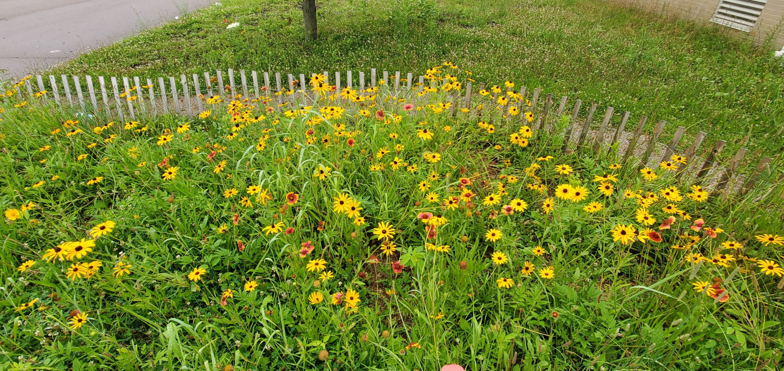 donate-creating-habitats-for-pollinators