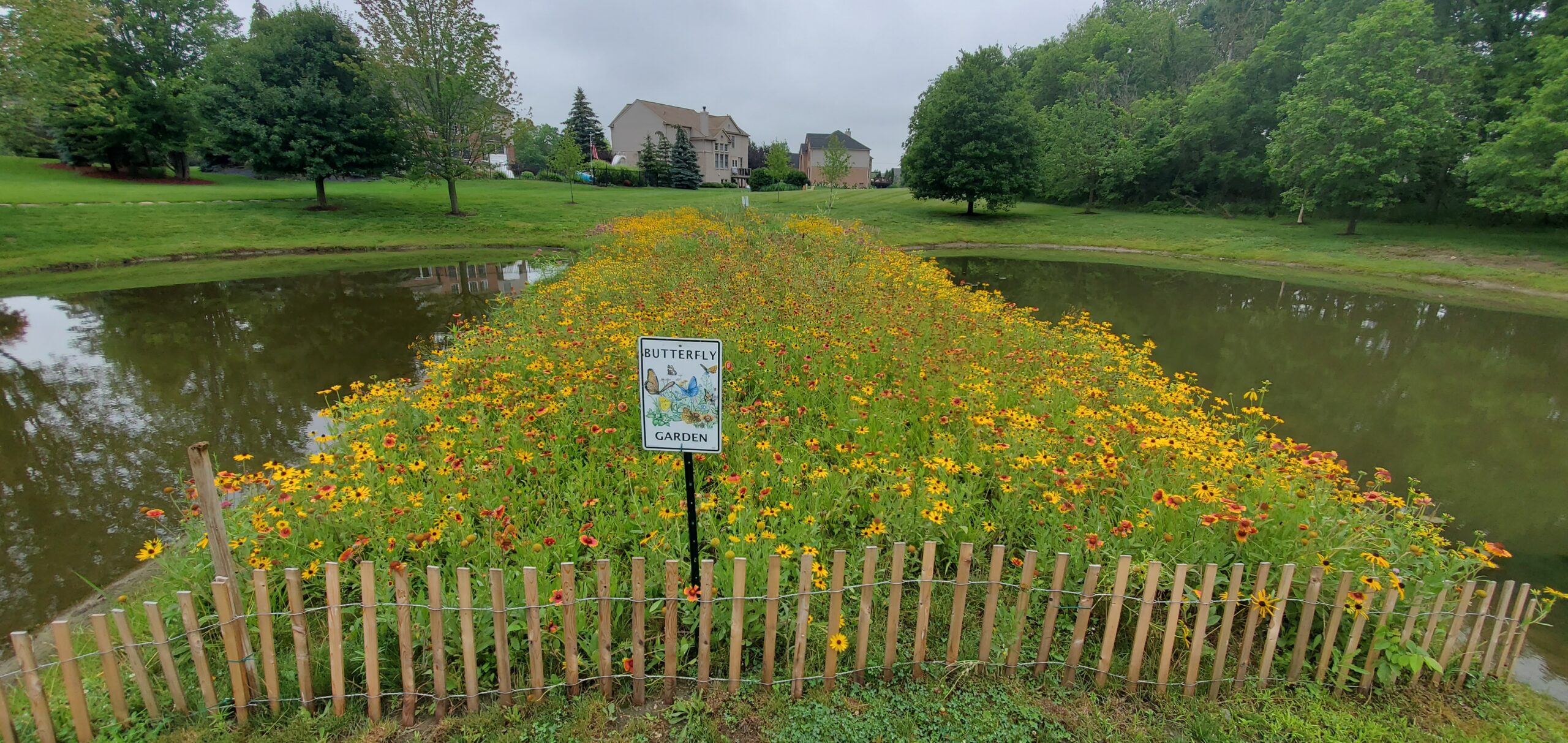 Home - Creating Habitats for Pollinators
